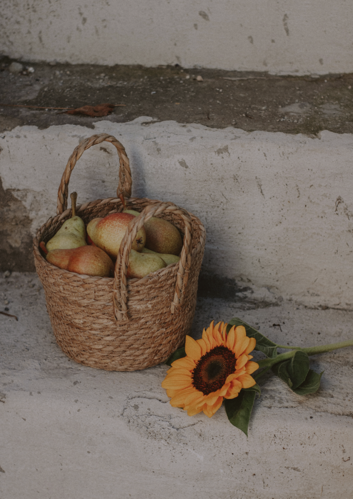 Design Humain Générateur : Tout savoir sur ce type plein de vie